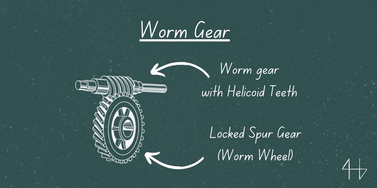 Gear Essentials: Worm Gear - Hans Werner